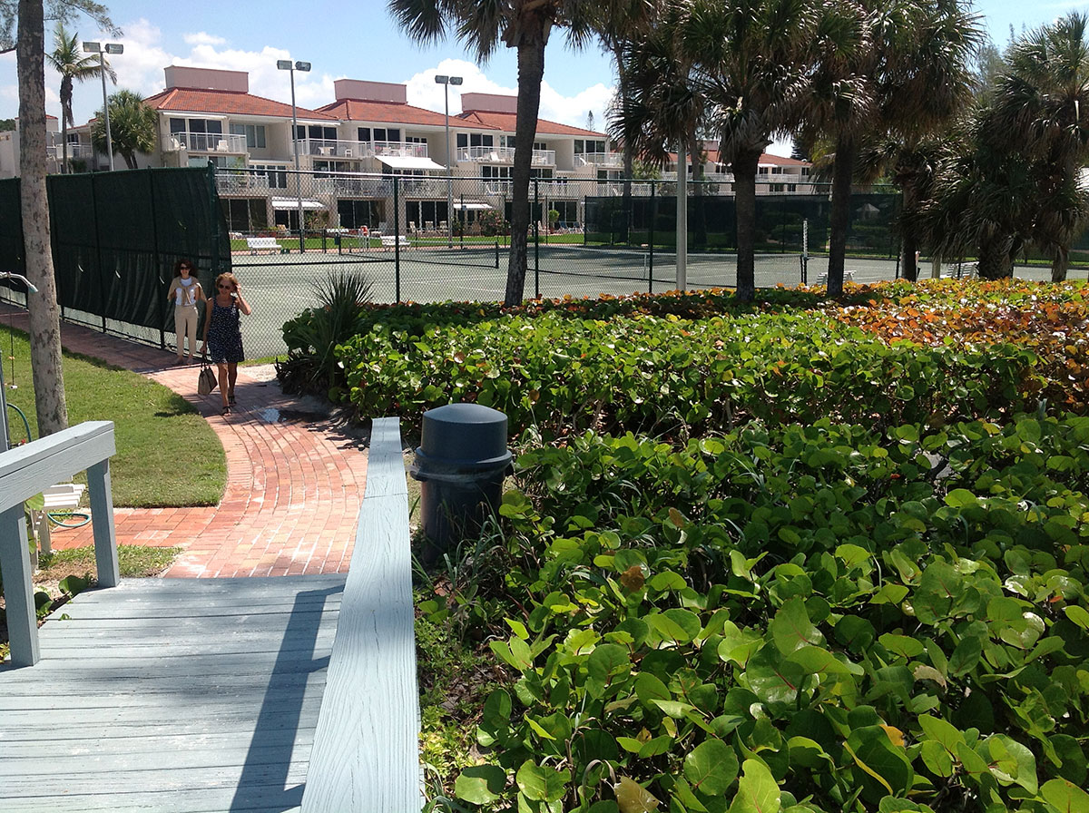 Longboat Key Beach Resort Amenities | Club Longboat