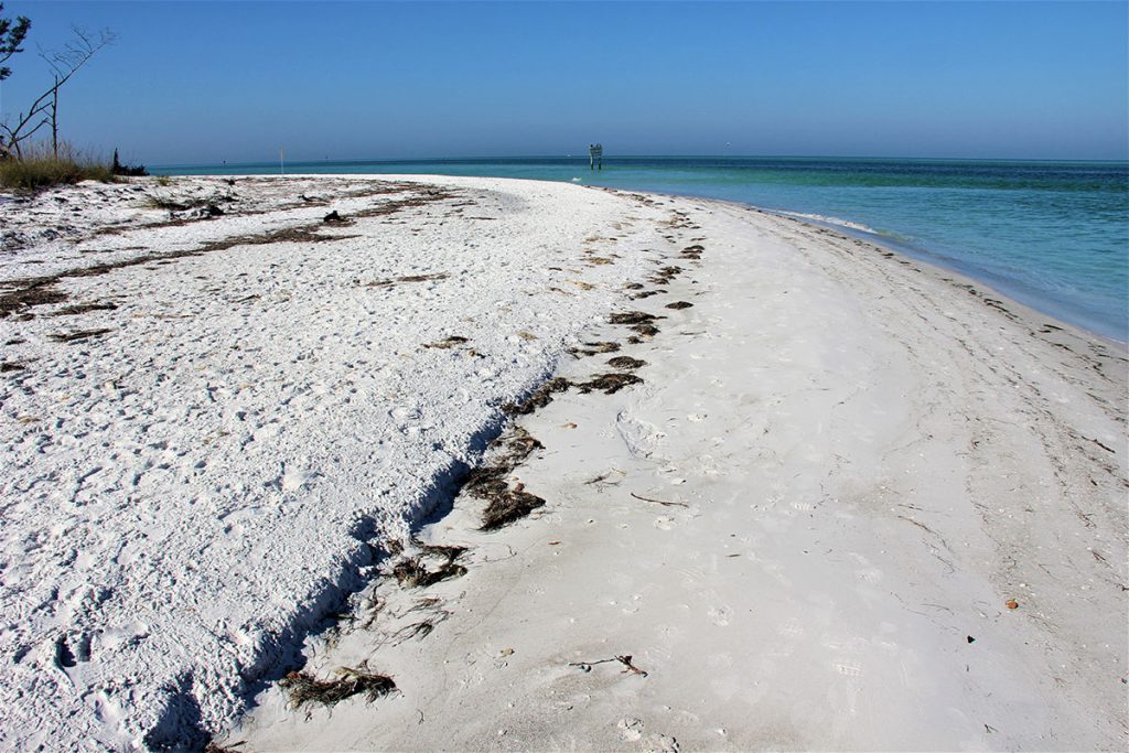 Gallery | Longboat Key Resort Photos | Club Longboat